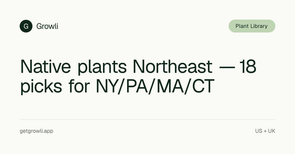 Native plants Northeast — 18 picks for NY/PA/MA/CT | Growli